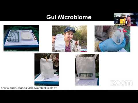CSEE Early Career Award Talk - Kiyoko Gotanda