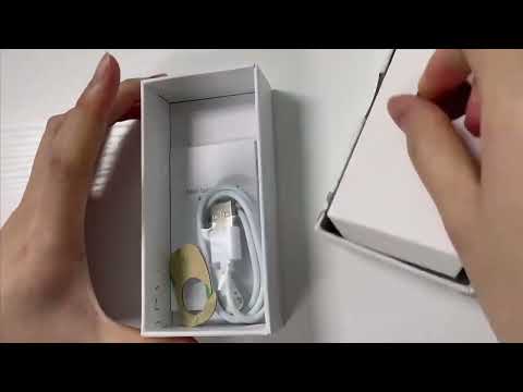 Portable Mini translator