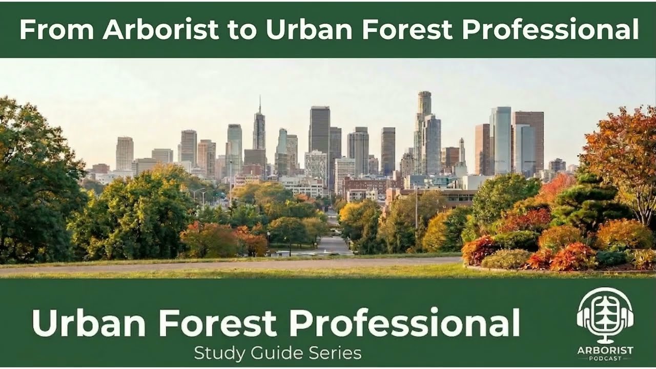 Urban Forestry vs. Arboriculture: Managing the City Forest (Ep. 1)#UrbanForestry #Arborist#ISA