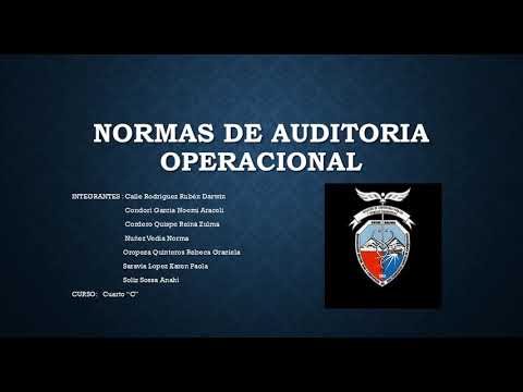 Normas de Auditoria Operacional
