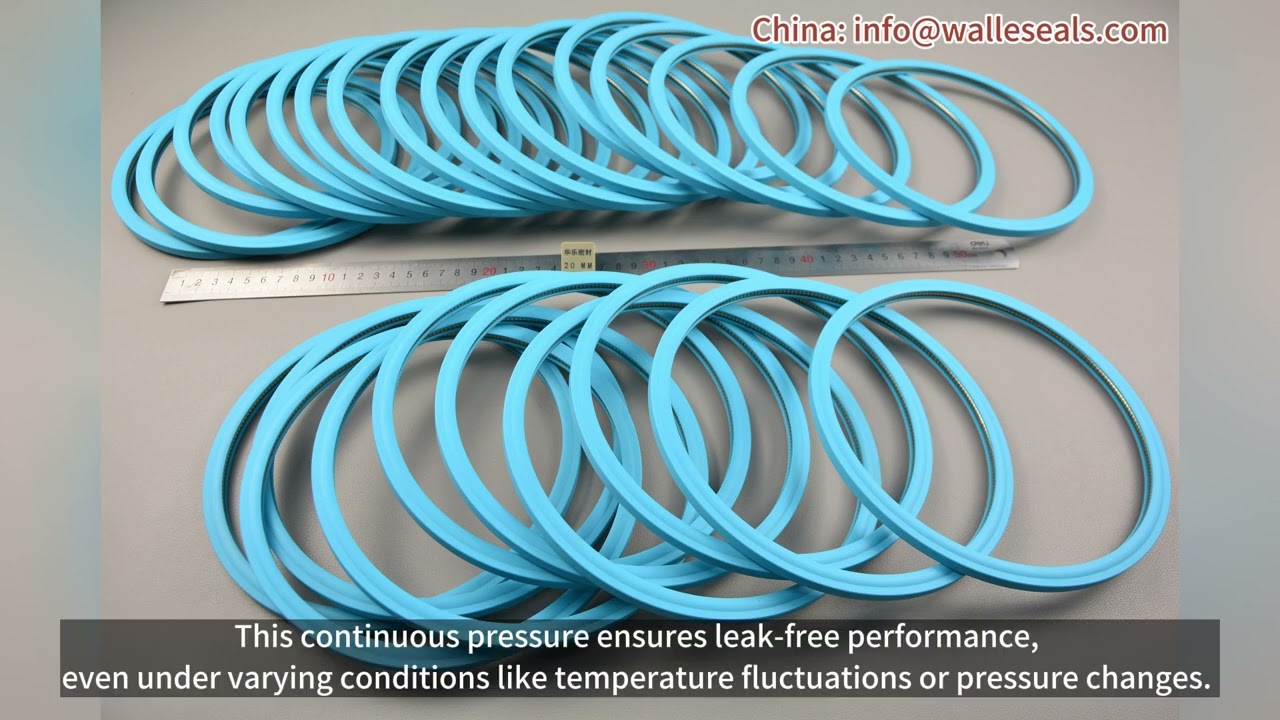 Working Principle of Spring Loaded Seals