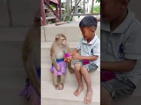 He Treats His Pet Monkey Like a Brother 🥹