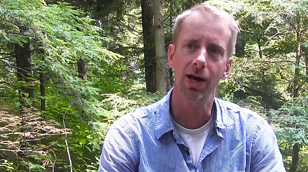 Sustaining Forest Ecosystem Services