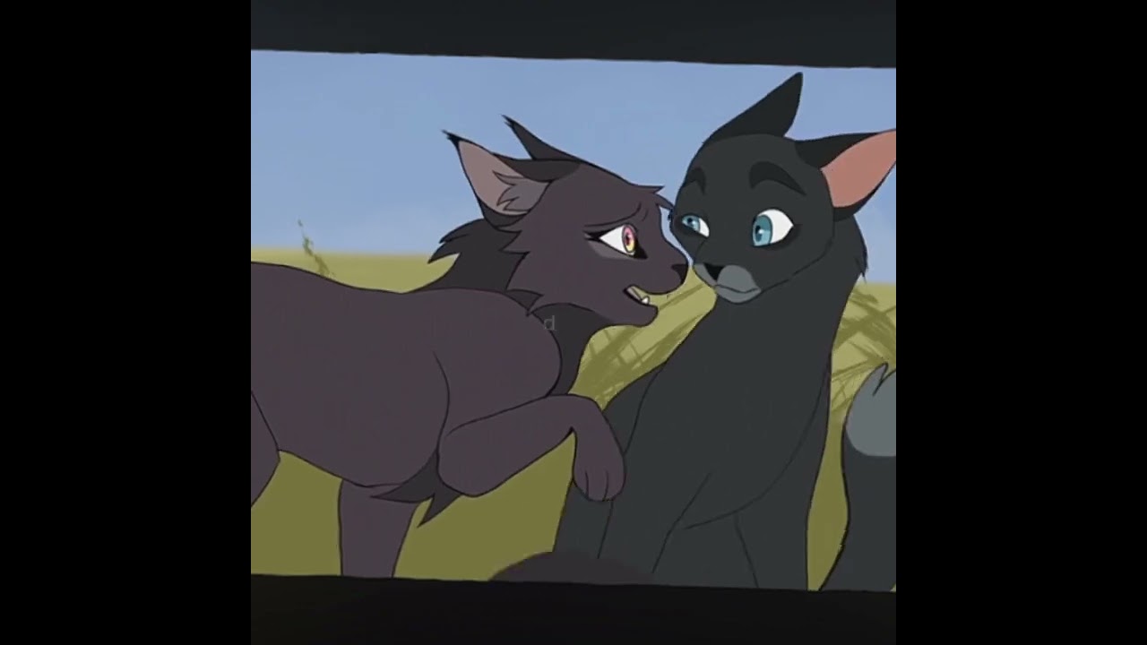 Warriors edit #warriorcats #warriors #wc #animation