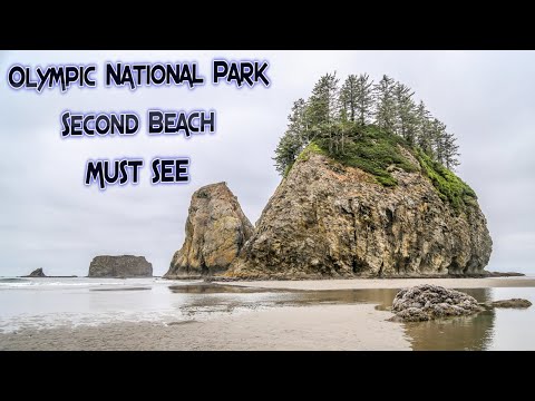 Second Beach Camping La Push Washington - Family Backpacking Trip - Olympic National Park - Amazing