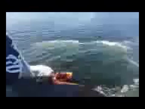 Reader video: Ferry launches rescue boat at Fauntleroy