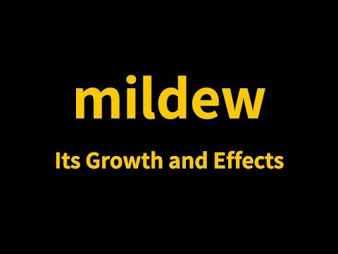 mildew