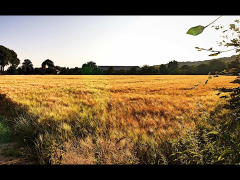 Maas Valley en Geulle Valley