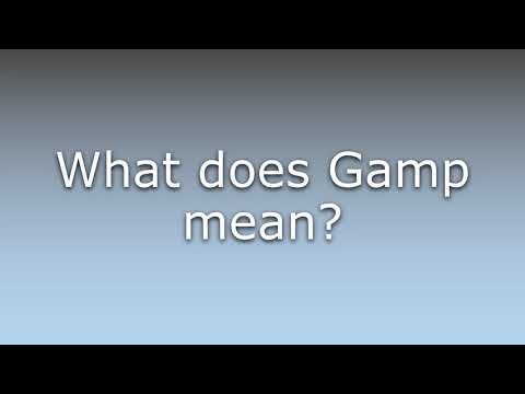 What does Gamp mean?
