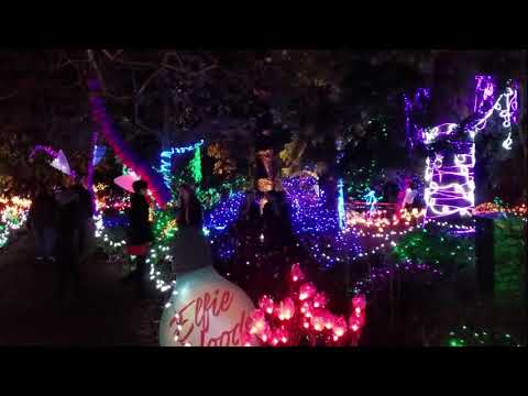 VanDusen Festival of Lights 2018