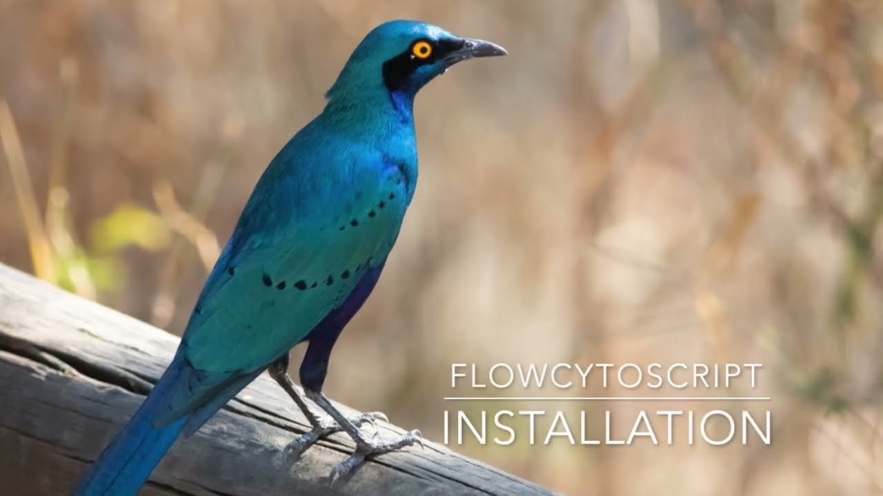 02 flowcytoscript installation