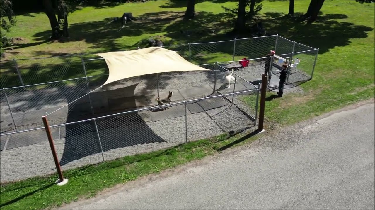 Del Norte County Humane Society/ The Dogs of Del Norte