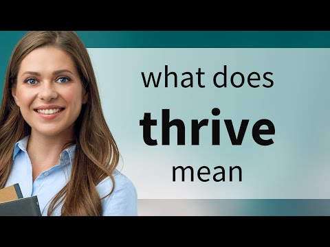 Thrive • THRIVE definition