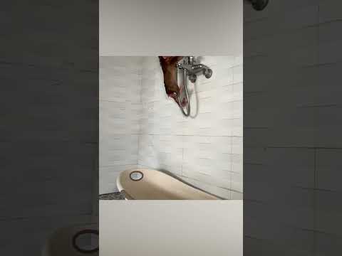 Monkey NANA poops and prepares water for bath #smartmonkey #shorts #monkey #monkeybaby #babymonkey