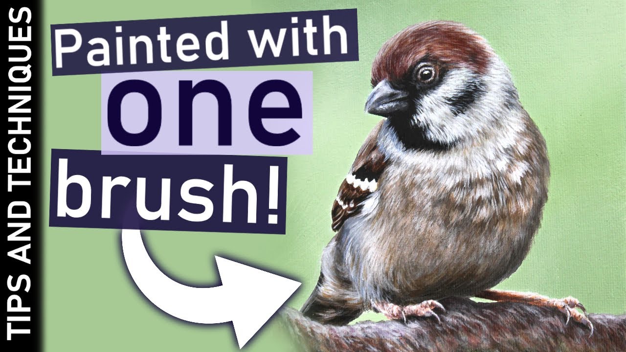 How to paint a bird in acrylics | With one brush | Perfect beginner tutorial