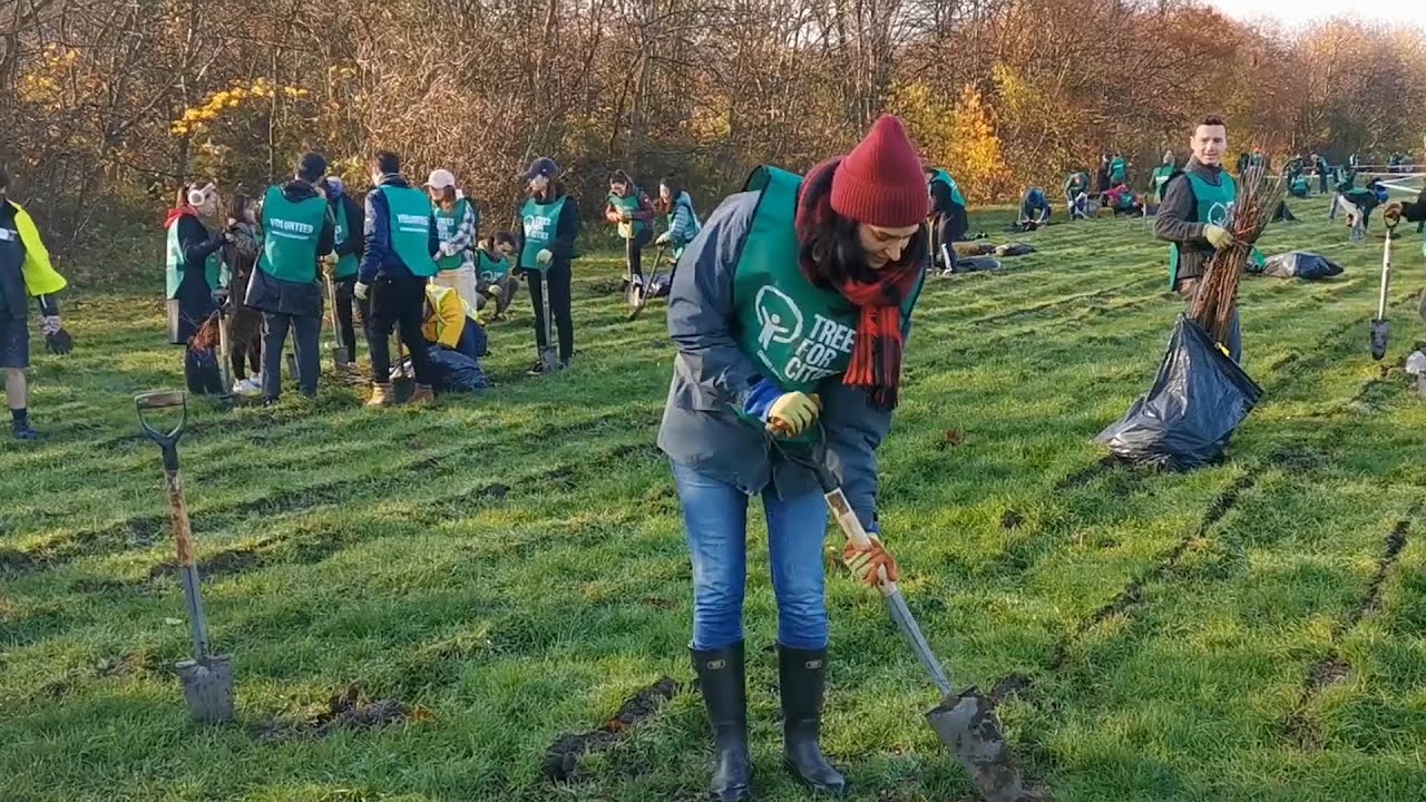 Trees For Cities – Tree Planting in Beckton Park