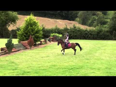 XC at Tack Farm Event centre