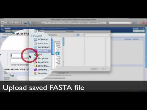 NCBI BLAST Tutorial - Part 2