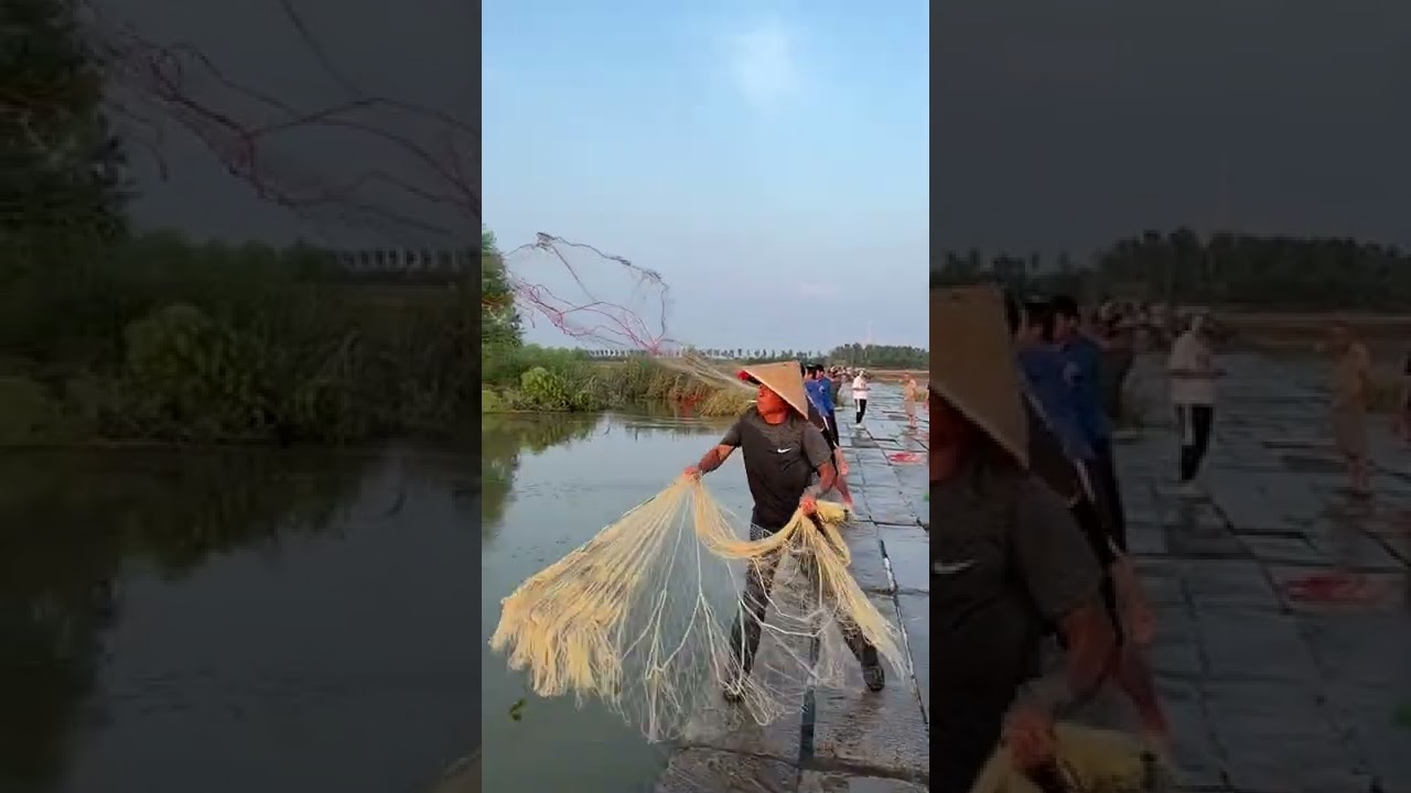 Best cast net fishing Catching big fish with cast  Net fishing