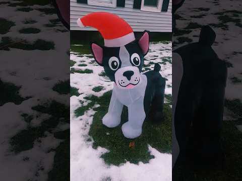 Outdoor Dog Decoration ❤️ #shorts #dog #christmas #trendingvideo #decoration #merrychristmas