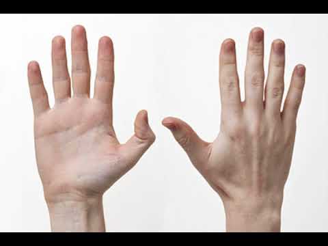 Hand on wikipedia