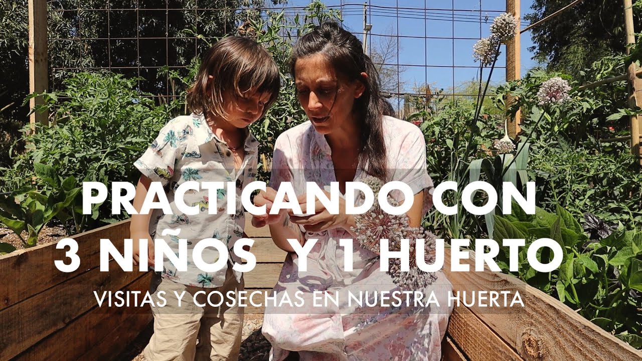 Practicando con 3 Niños  y un Huerto!! | Visitas y Cosechas en nuestra Huerta