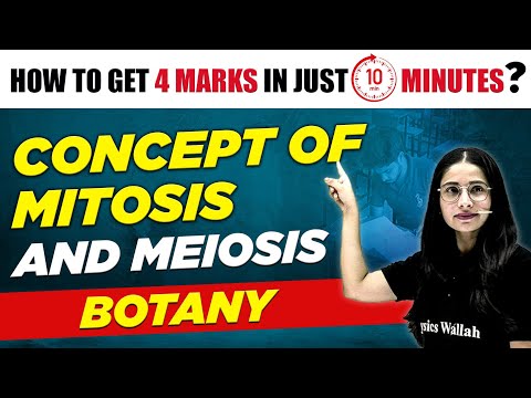 How to Get 4 Marks in Just 10 Minutes? | Concept of Mitosis and Meiosis | Botany