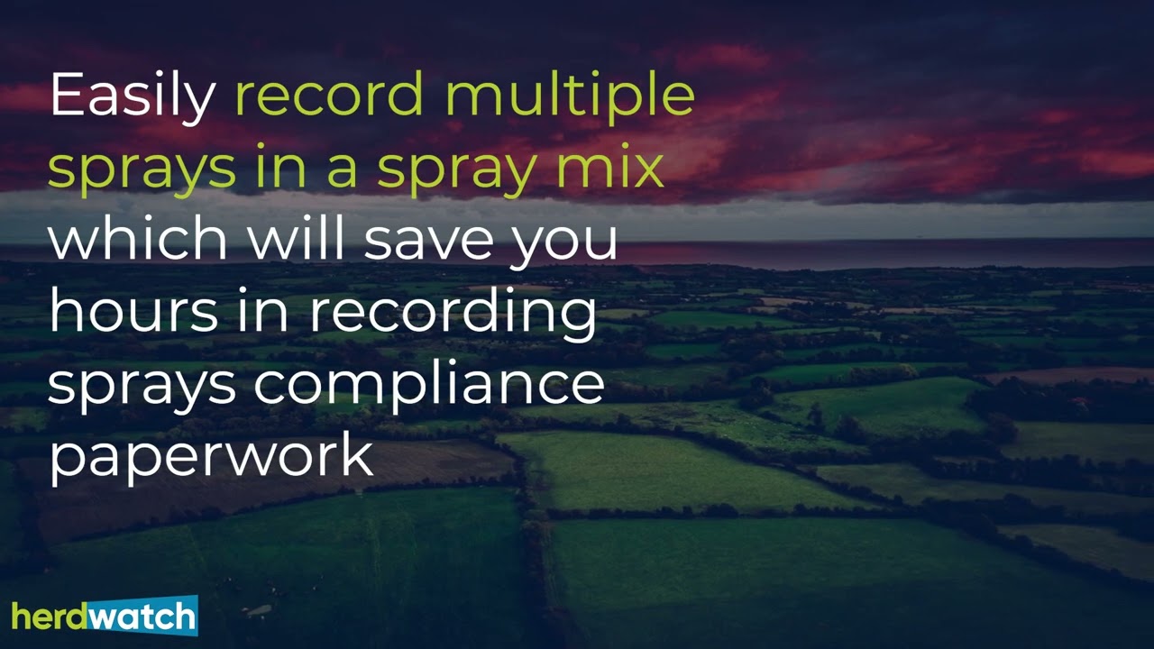 Product Spotlight - Spray Records