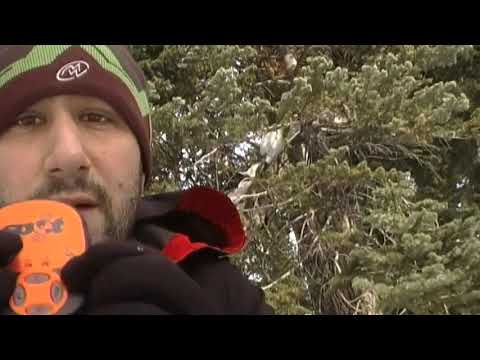 Extreme Test Satellite GPS Tracker in Action 60sec