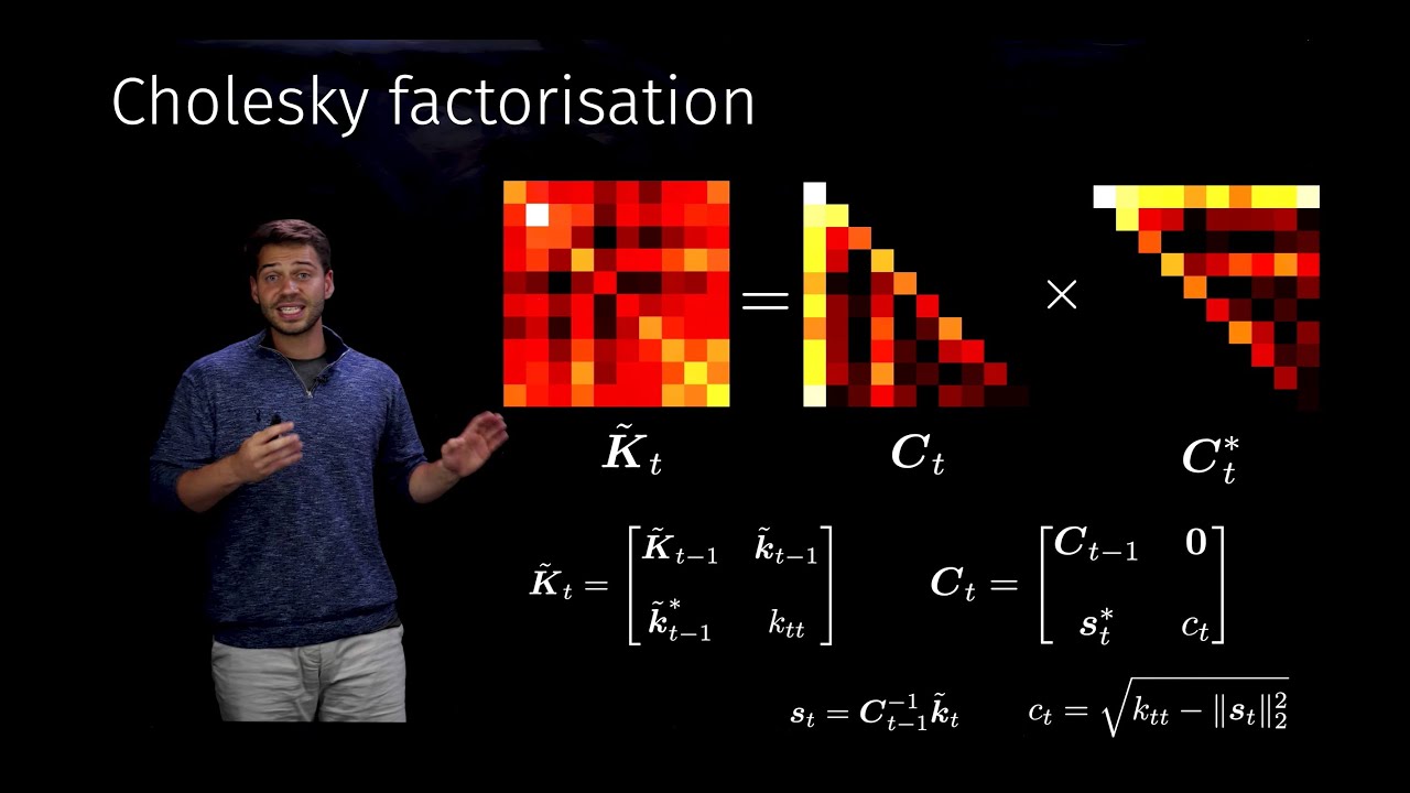 Stabilized sparse dictionary learning with Cholesky factors