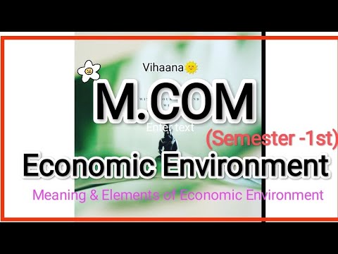 Meaning and Elements of Economic Environment