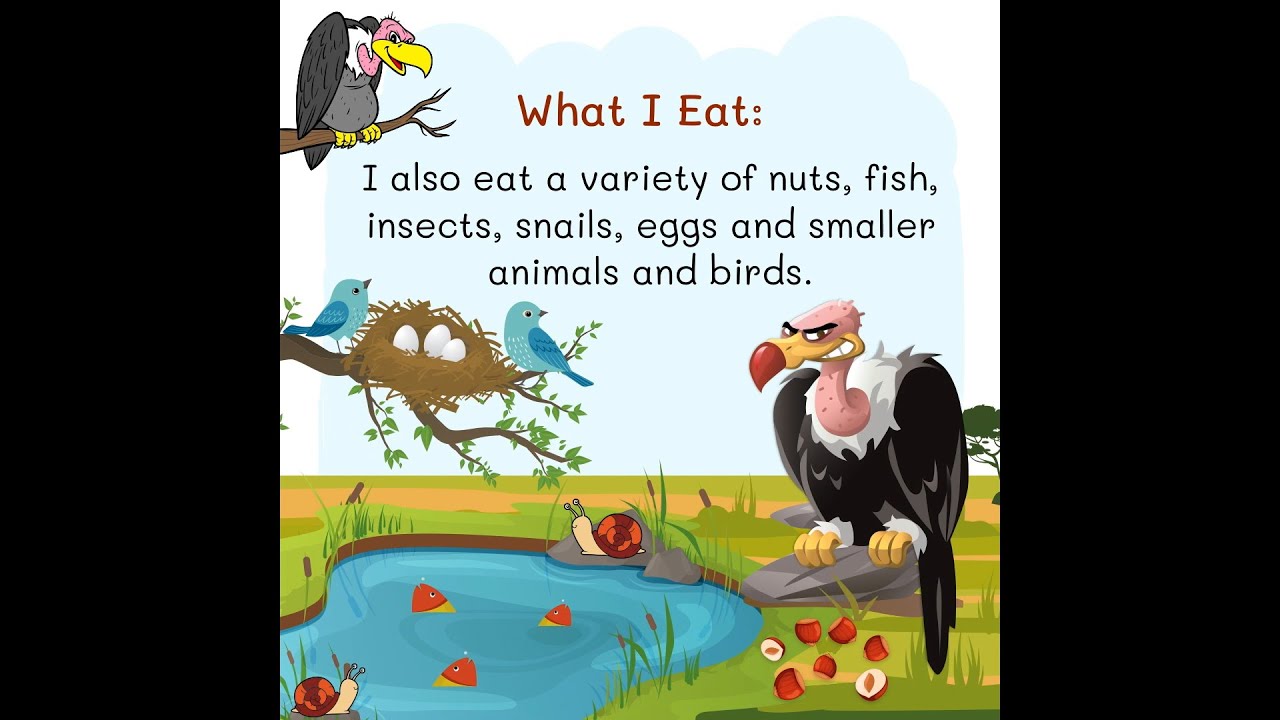 Meet Nature's Garbage Pickers: Fast Facts About Vulture