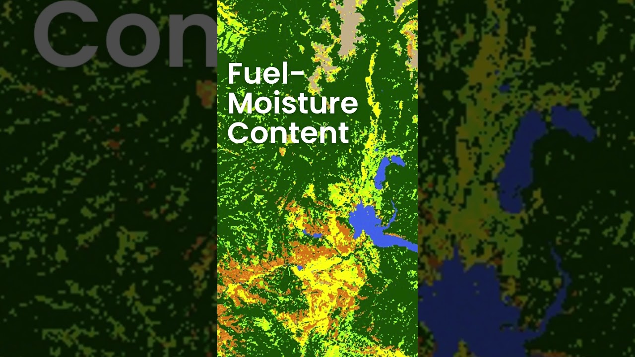 🔥 Fire-Behavior Modeling, Fuel-Moisture Content: New Discoveries in Fire Science 🔥 NSF NCAR RAL