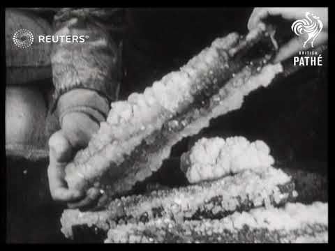 Salt mine in Nova Scotia (1944)