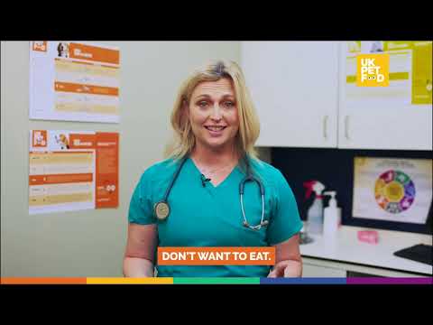 Cat the Vet importance of by-products & meat and animal derivatives in pet food