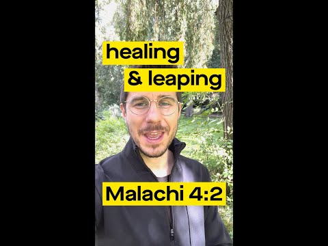 Who will rise? Malachi 4:2 #jesus #bible #shorts