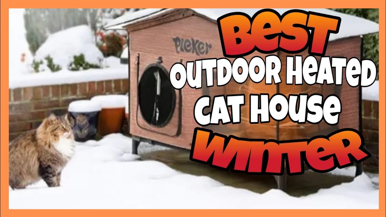 TOP 5✅BEST OUTDOOR CAT HOUSE FOR WINTER REVIEWED 2024-2025 |BEST OUTDOOR HEATED CAT HOUSE FOR WINTER