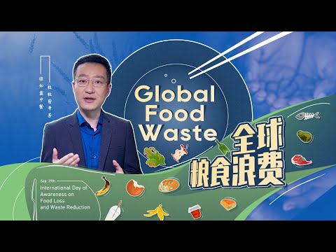 Global Watch editor's pick Ep. 38: Global food waste