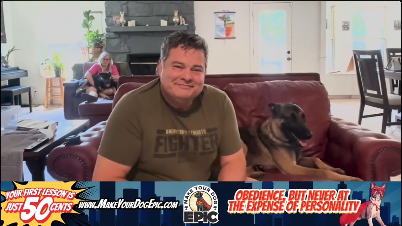 Dog Trainers Tulsa | 