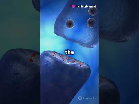 Action Potential Explained in 60 Seconds! | Neuroscience Shorts #science #biology #scienceshorts