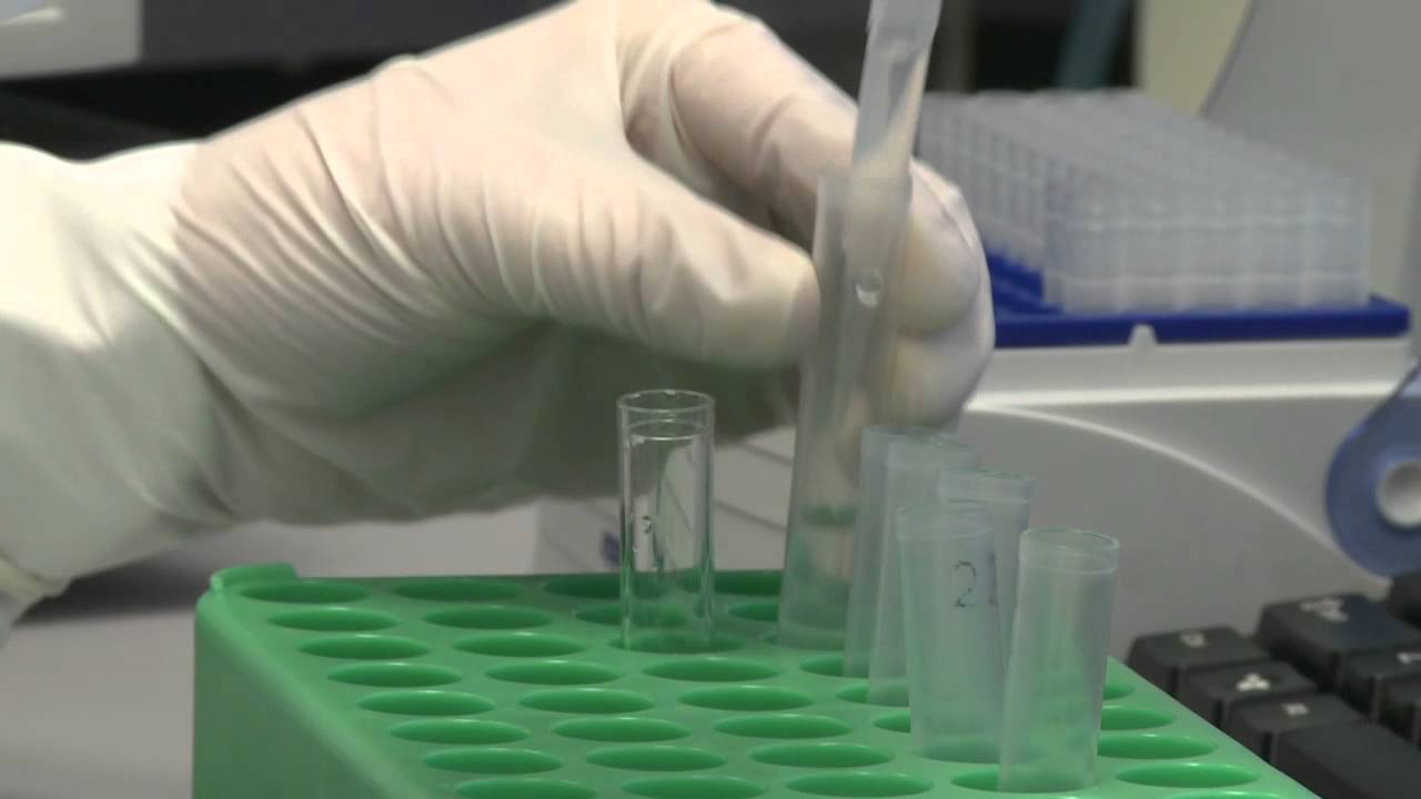 NeoLek - Instytut Immunologii i Terapii Doświadczalnej im. Ludwika Hirszfelda PAN