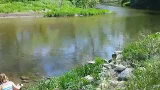 3 Best Hiking Trails in Rochester, MN - Expert Recommendations