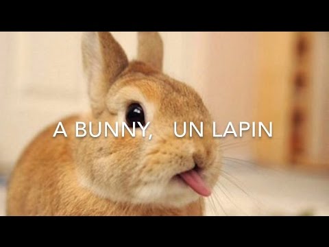 10 common French words for kids