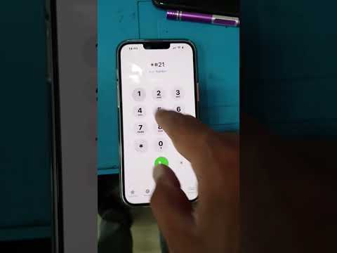 Apple setting interrogation succeeded iphone 13 pro max