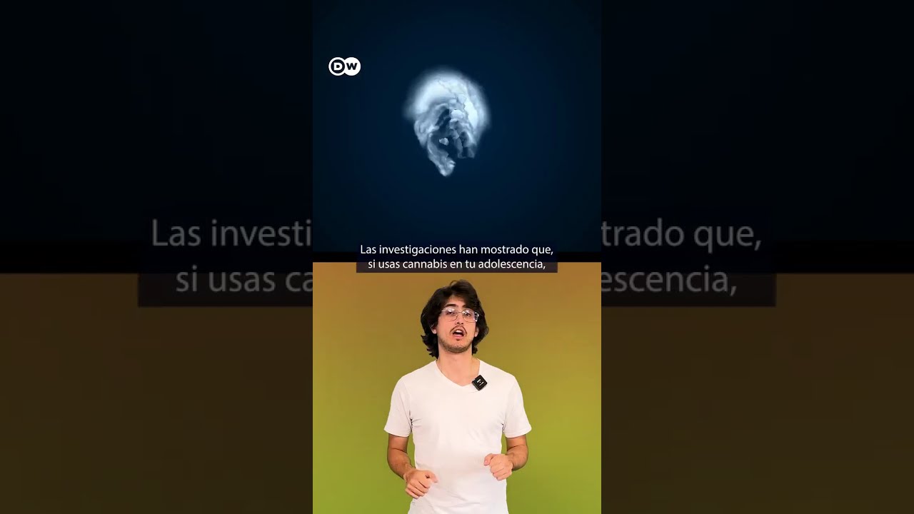 Esto le ocurre a tu cerebro cuando consumes cannabis 🥴 #shorts