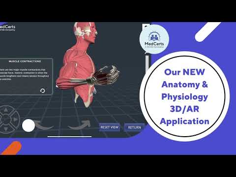 Revamped Intro to Human Anatomy and Medical Terminology Course
