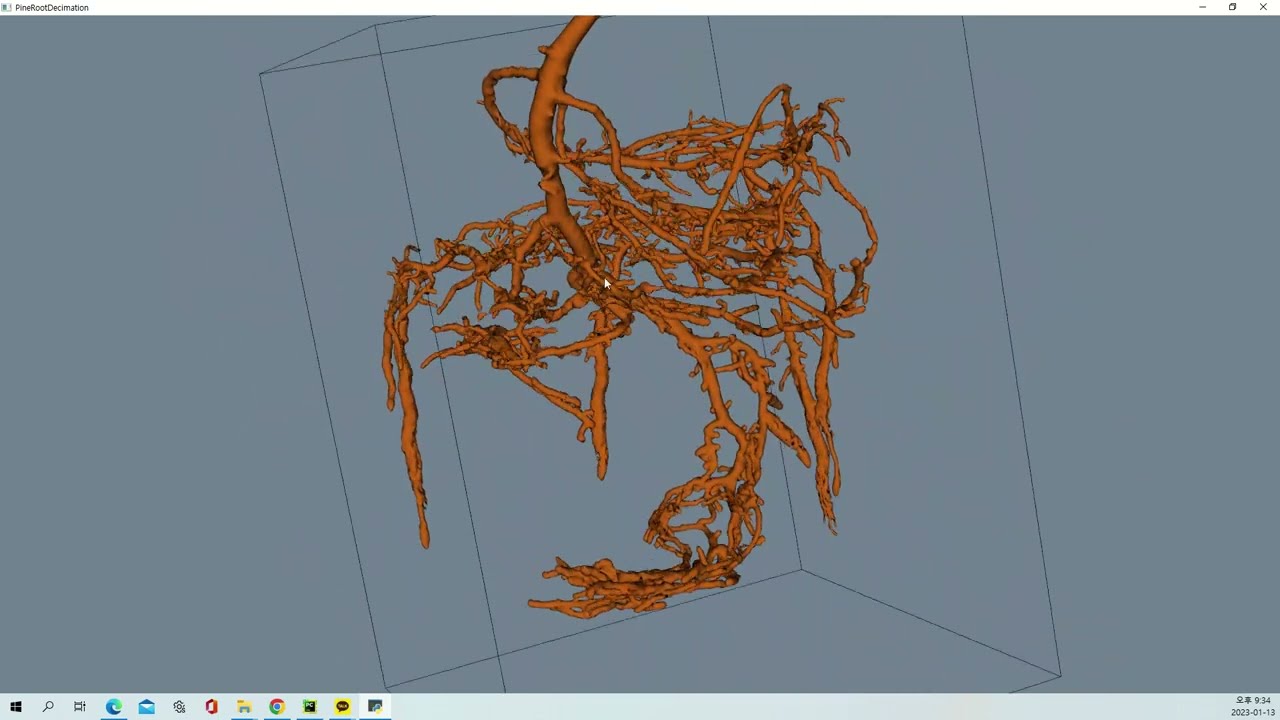 VTK Python Example - PineRootDecimation