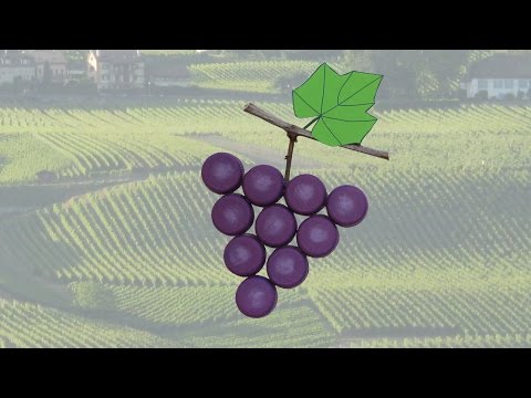 Tuto grappe de raisins avec bouchons en plastique | Educatout