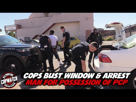 Mass Traffic Stop | Cops Bust Out Window Arrest Man for Possession of ...