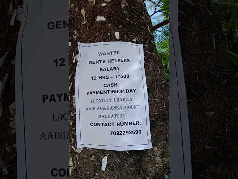 HELPER 17500 #helper#helperjobs#helperjob#labour#workers#worker#job#jobs#fyp#shorts#ytshorts#fb#yt